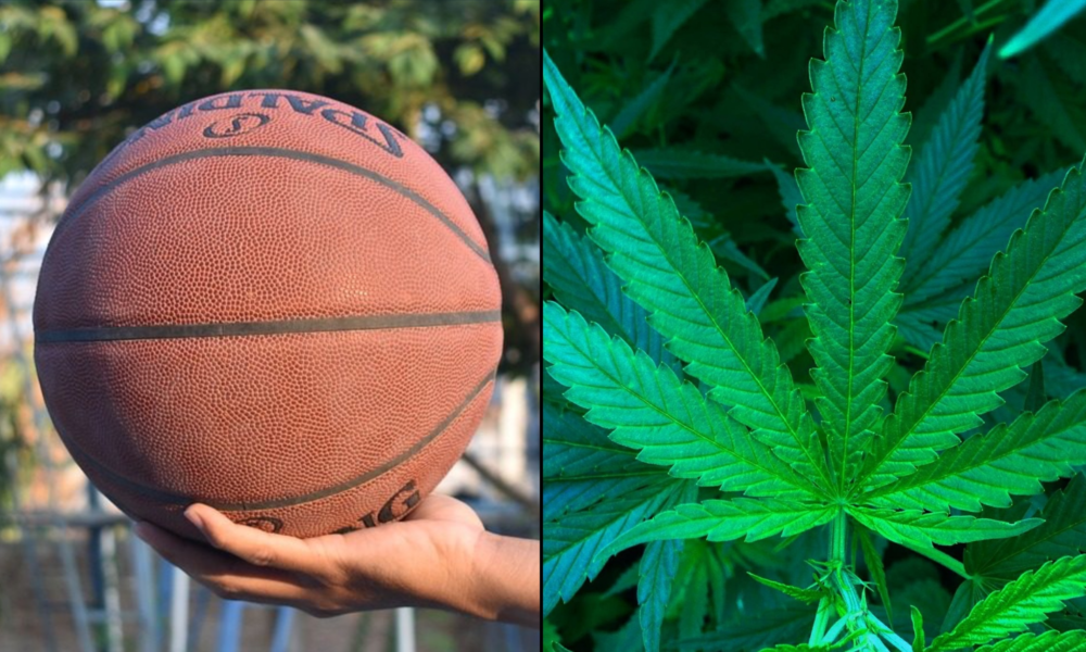 Marijuana Retail Report